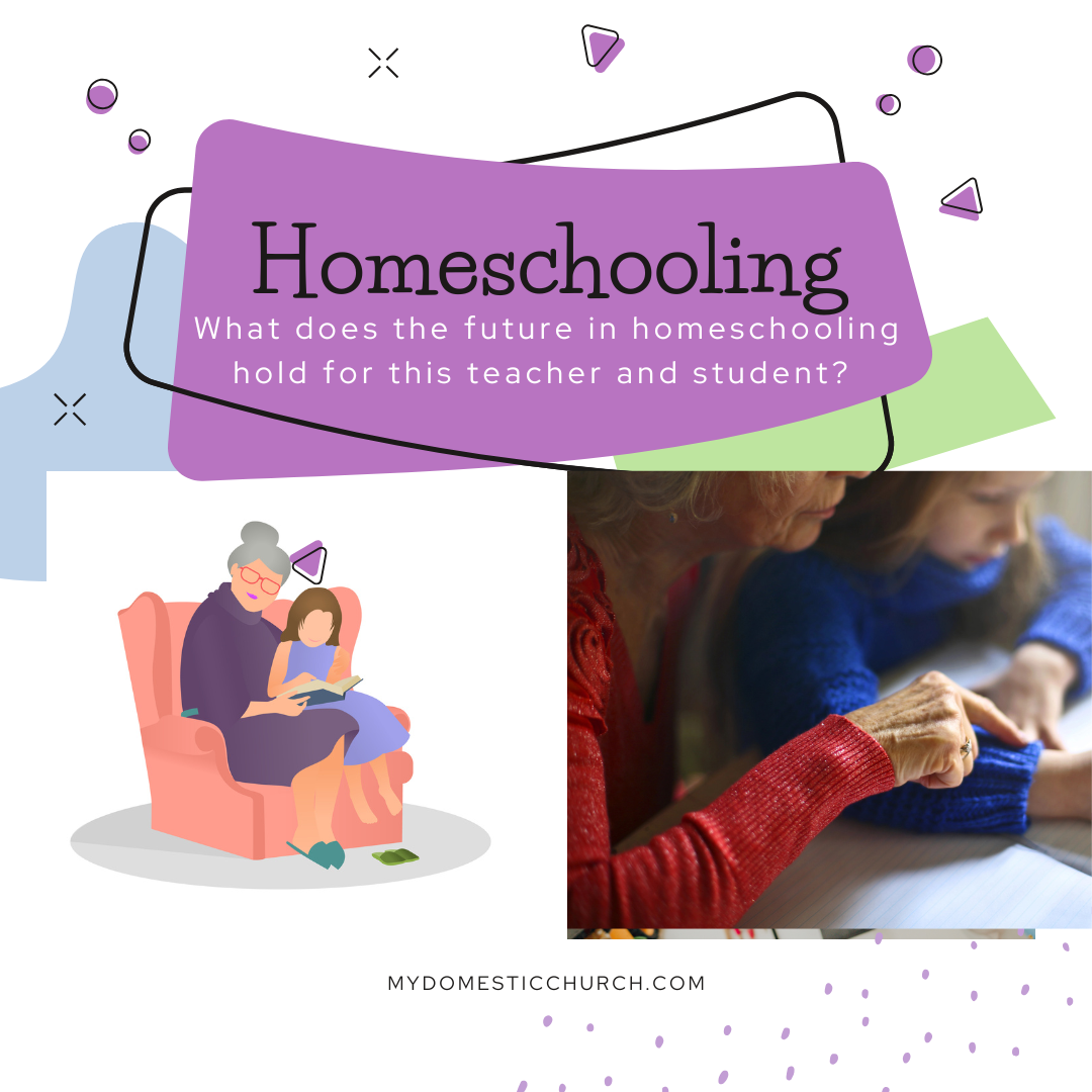 What does the future in homeschooling hold for this teacher and student ...
